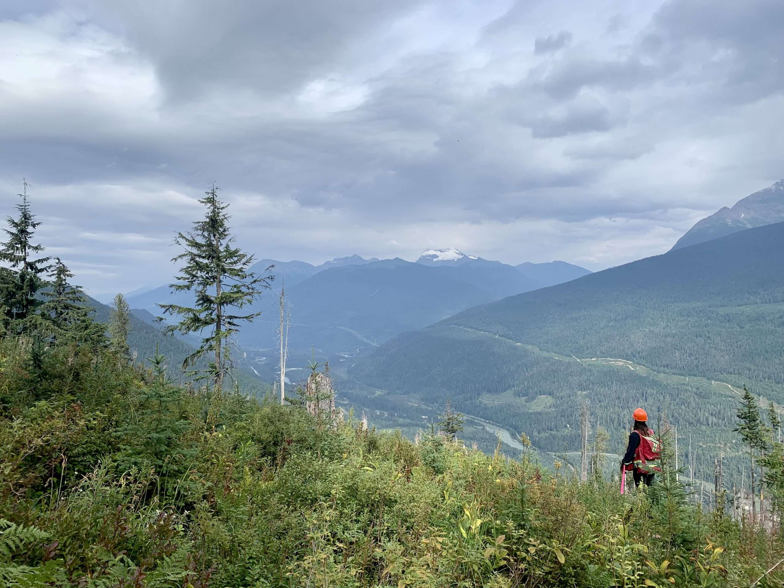 Wells Gray Community Forest Partners With Simpcw Resources Group to ...
