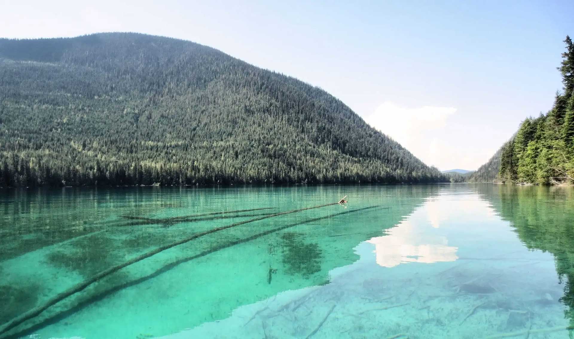 Innovative Beaver Management at Johnson Lake Resort » Simpcw Resources ...