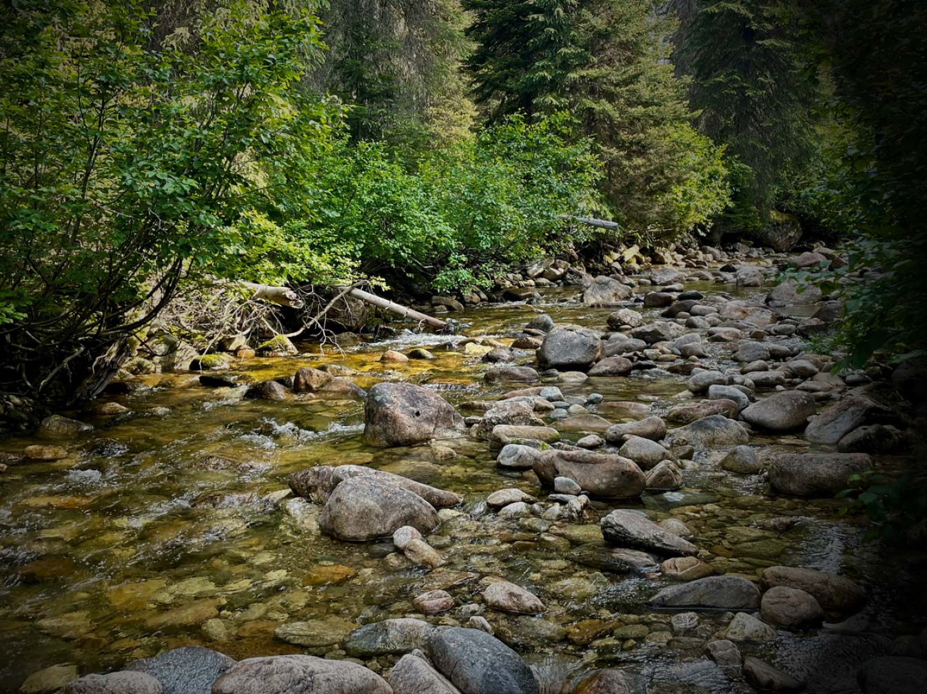 Trans Mountain Watercourse Crossing Remediation » Simpcw Resources Group